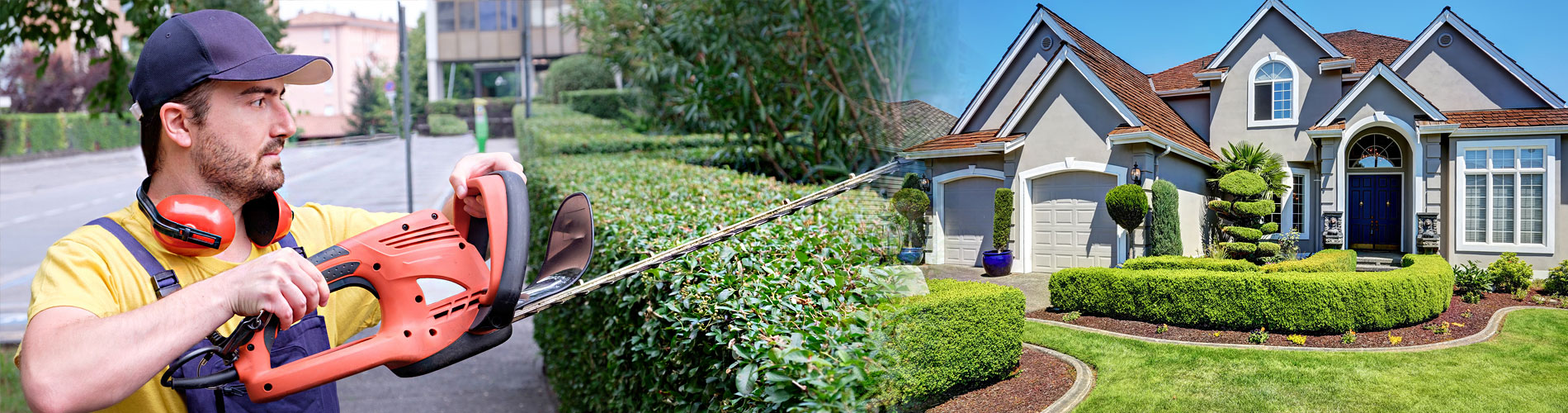 Garden Service in Galway